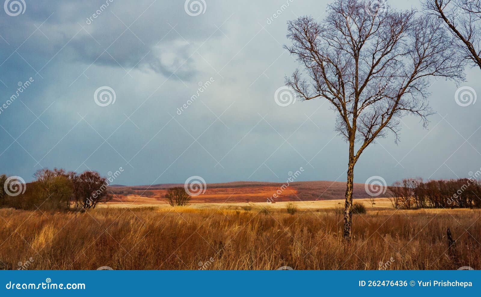 A Cloudy Autumn Day in Autumn. Stock Photo - Image of cloudy, plain ...