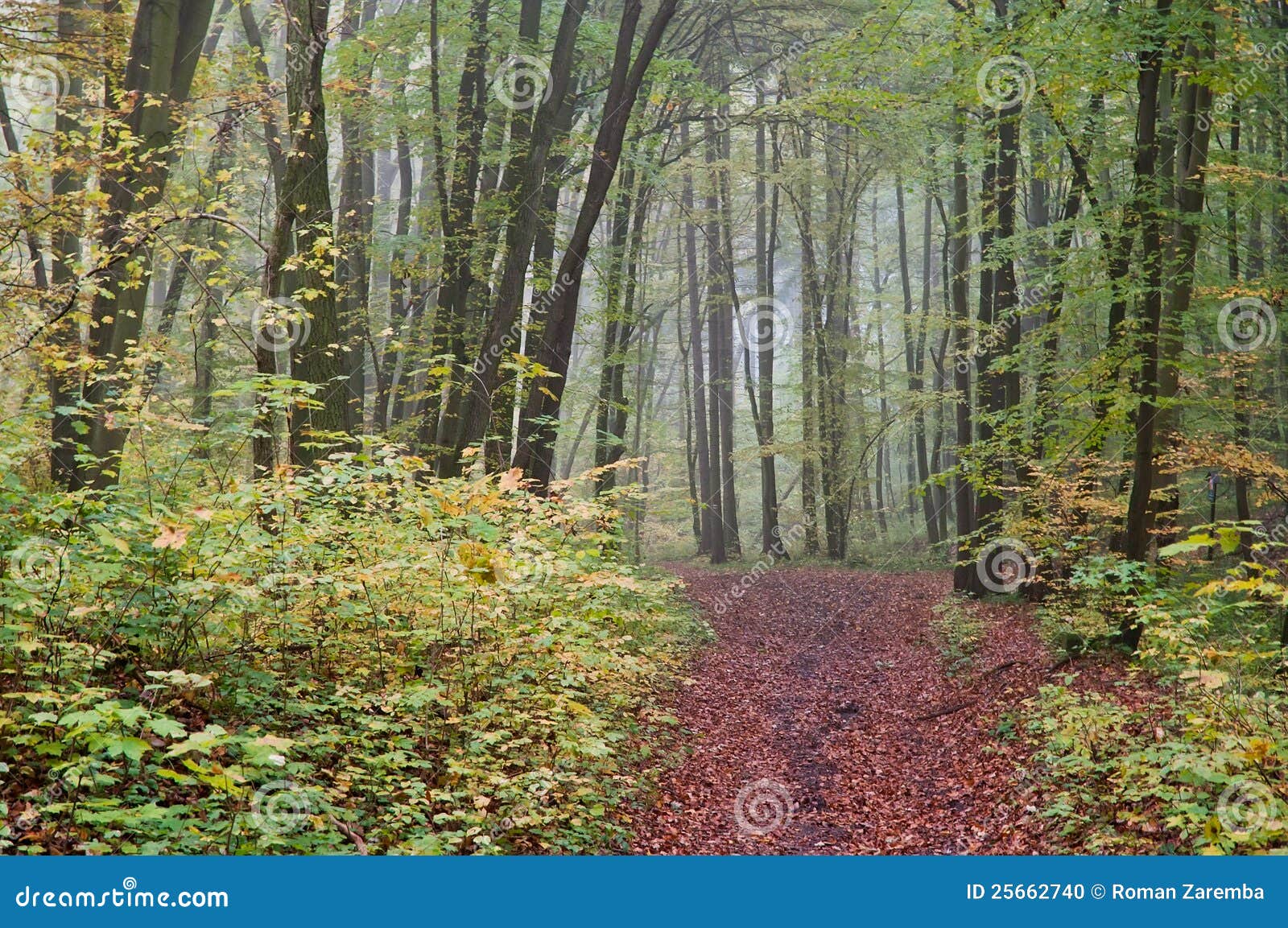 Cloudy Autumn Landscape - Horizontal Stock Photo - Image of natural ...