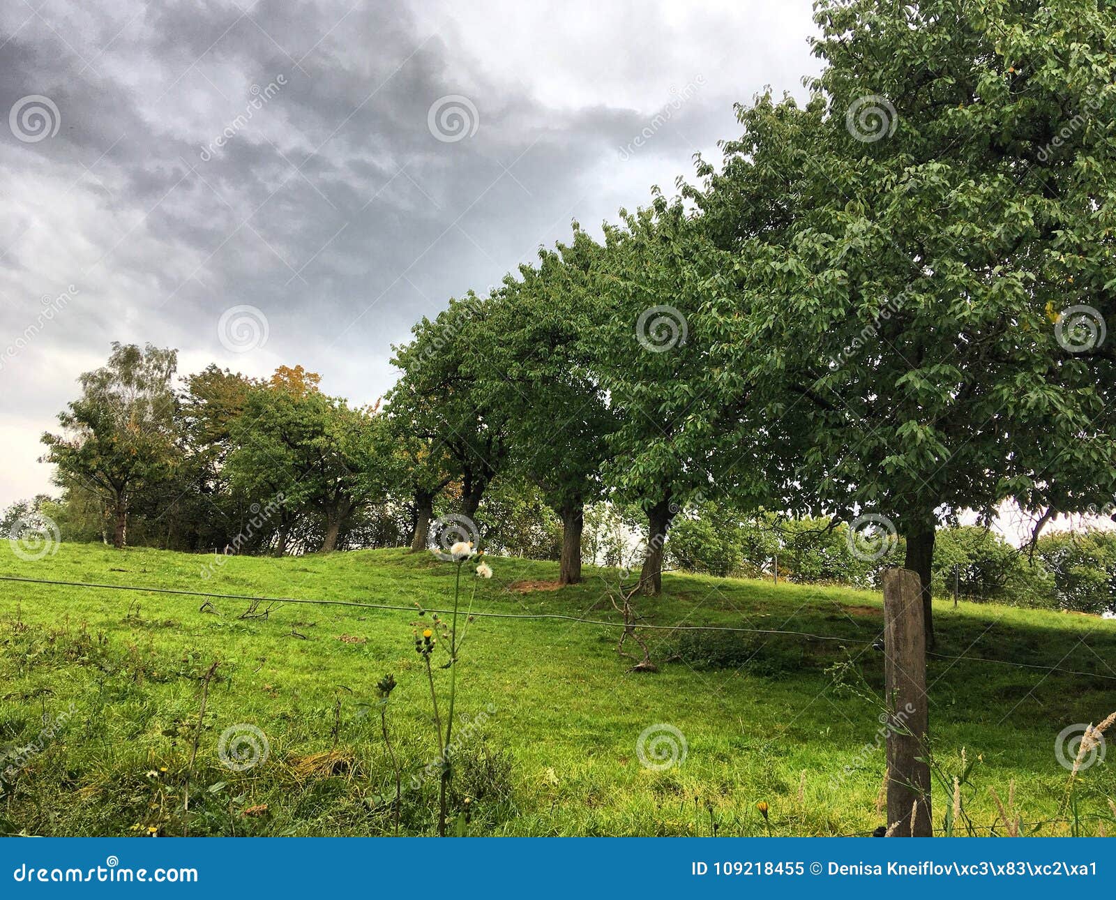 In a fiels stock image. Image of nature, autumn, field - 109218455