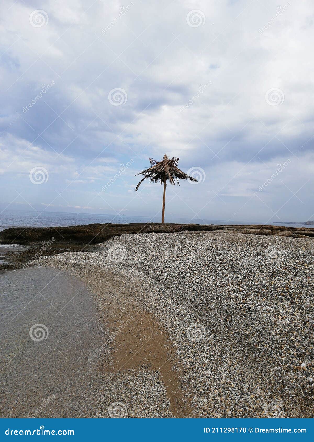 Cloudy beach day stock photo. Image of branch, water - 211298178