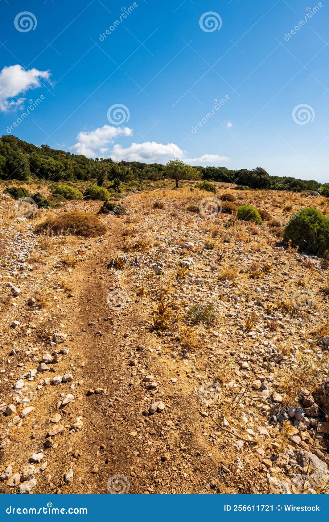 Cloudy Blue Sky Over a Nature Landscape with Dry Part and Greenery Part ...