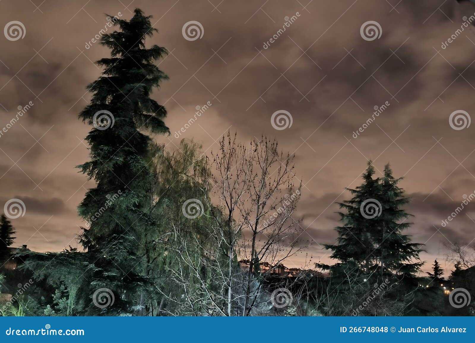 Cloudy and cold night stock photo. Image of night, cloudy - 266748048
