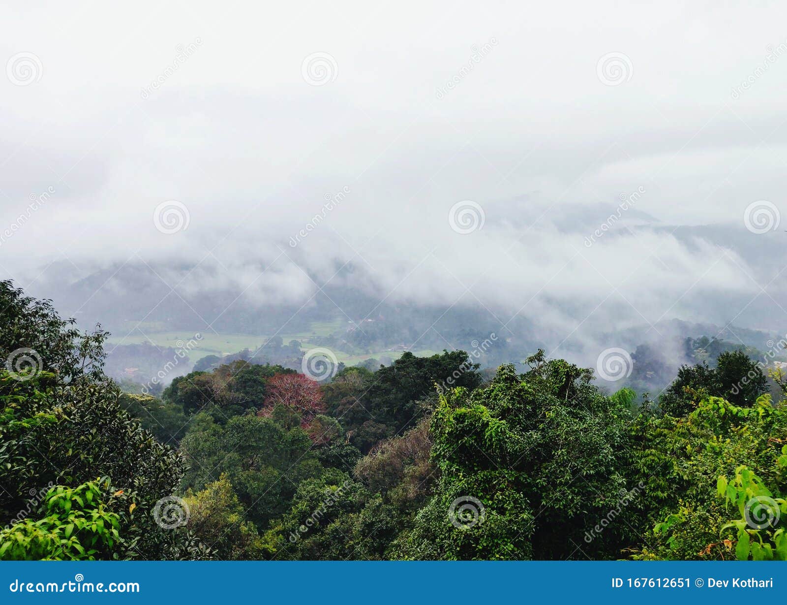 Cloudy Coorg Climate Capture Stock Image - Image of greenery, capture ...