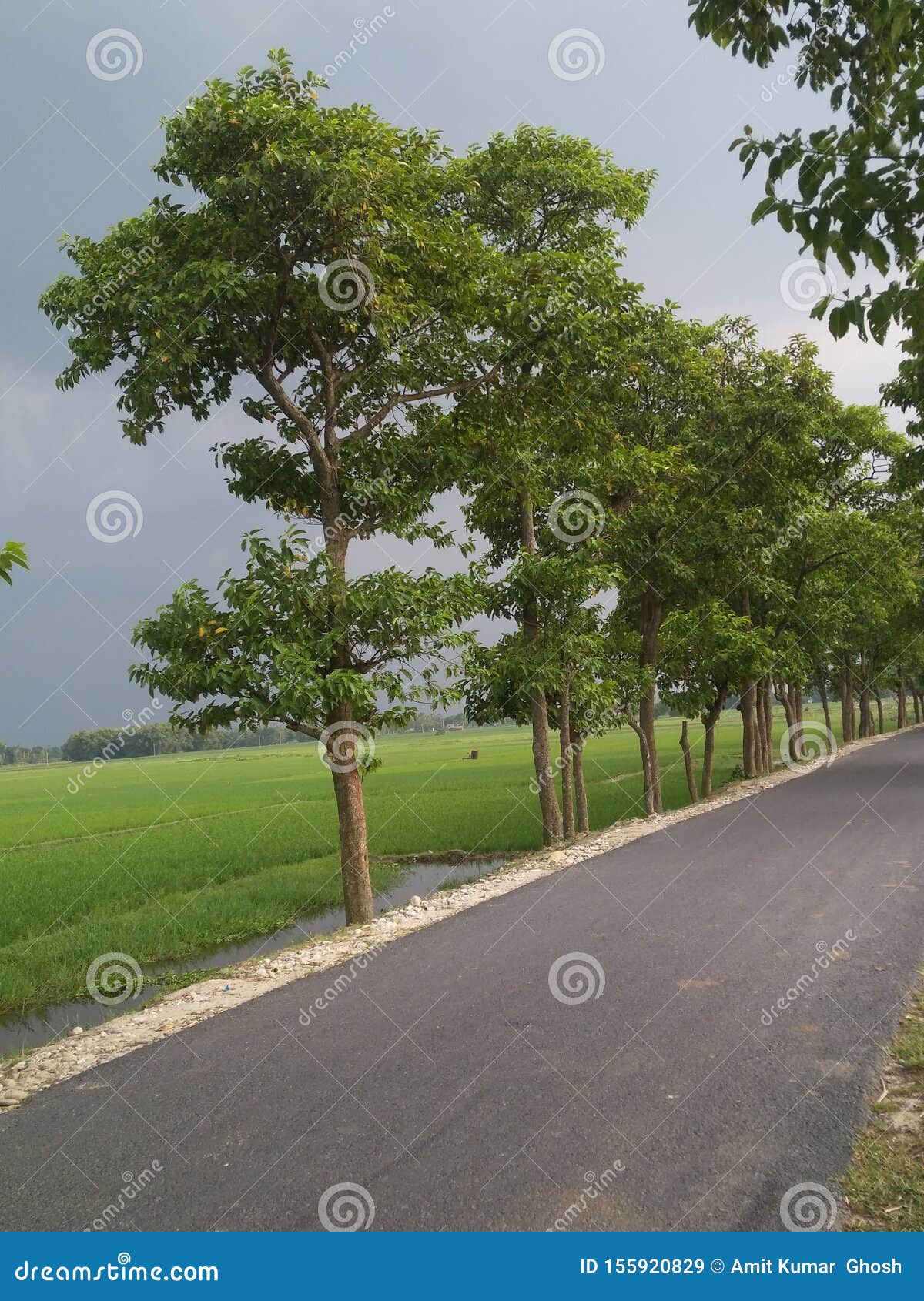 Cloudy Countryside in India Stock Image - Image of cloudy, india: 155920829