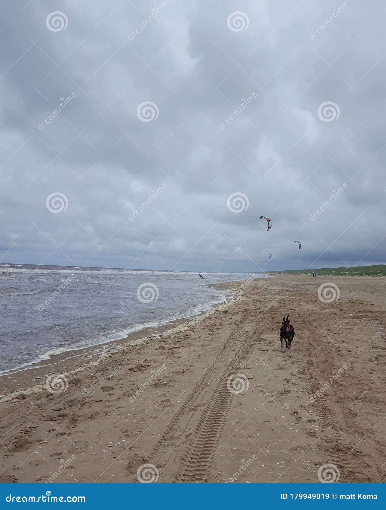 Cloudy day on the beach stock image. Image of wind, sand - 179949019