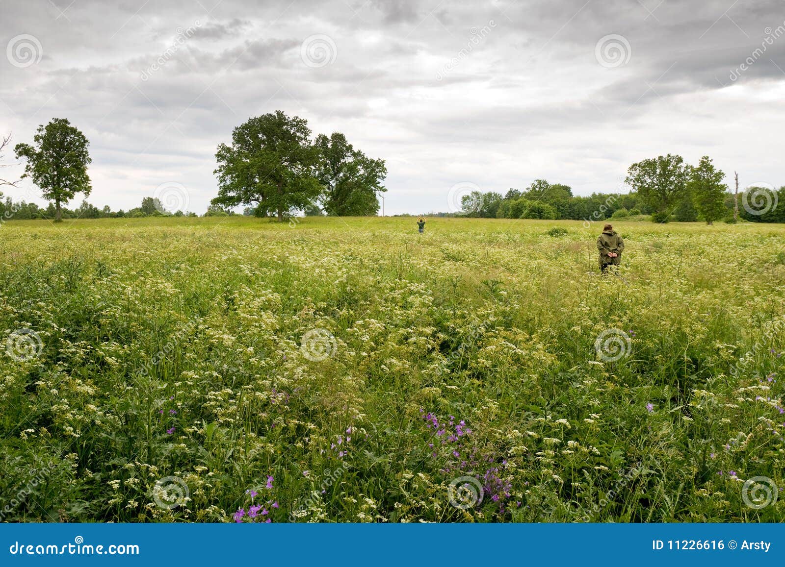 Cloudy day in the country stock photo. Image of rain - 11226616