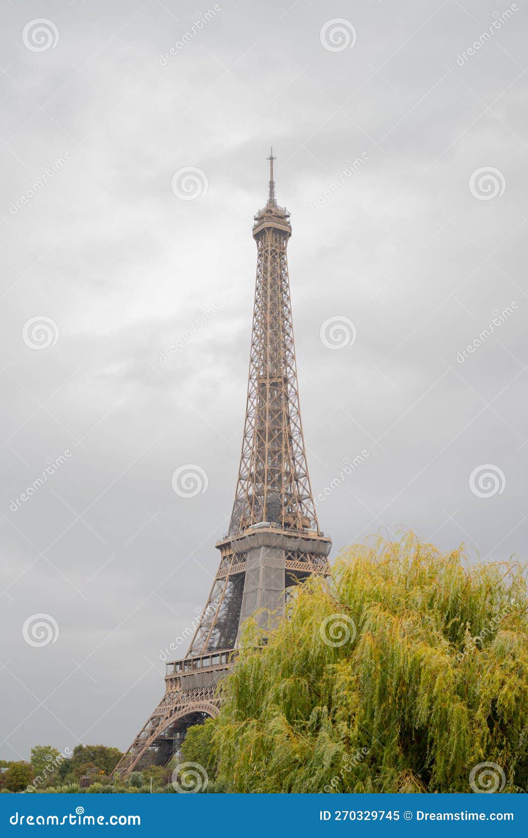The Overcast Sky of Paris: Eiffel Tower Stock Illustration ...