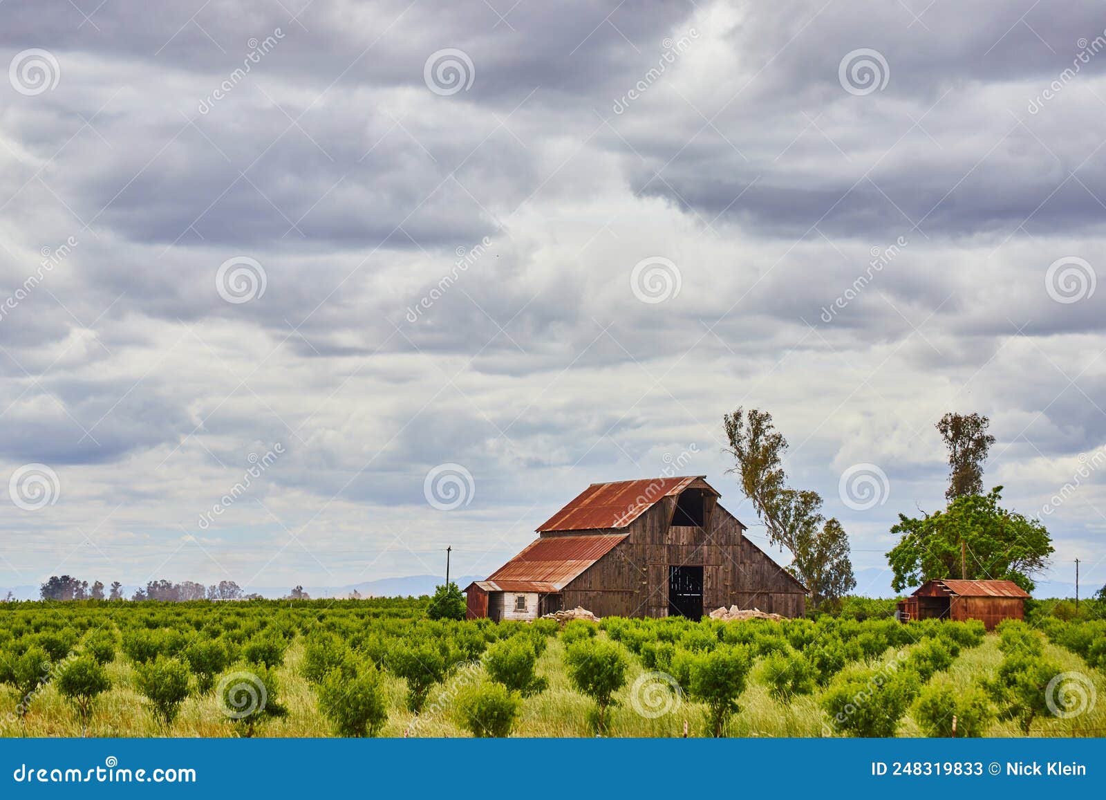 Cloudy Day on Fruit Farm in Early Spring with Old Red Barn Stock Image ...