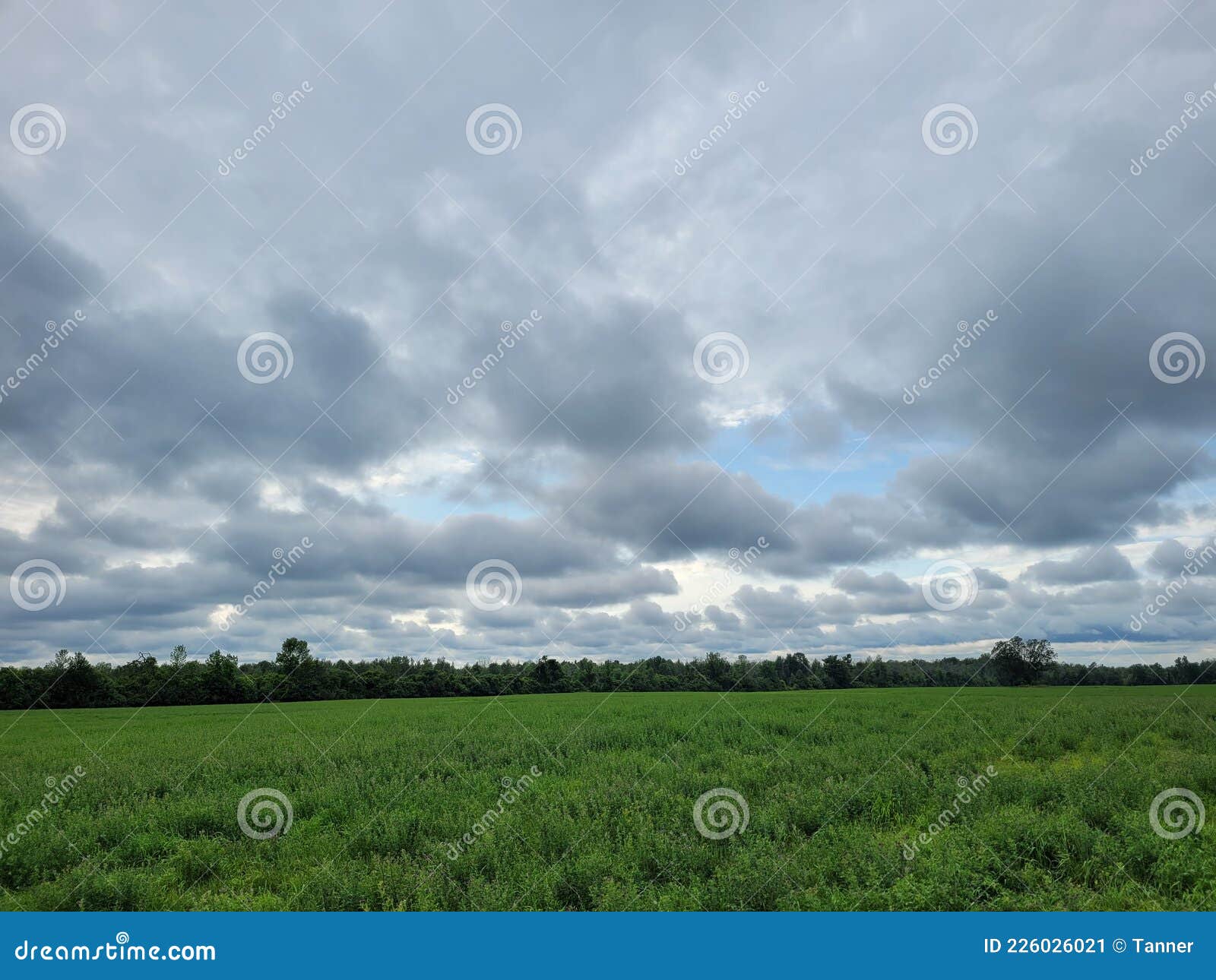 Cloudy evening sky stock image. Image of meadow, tree - 226026021
