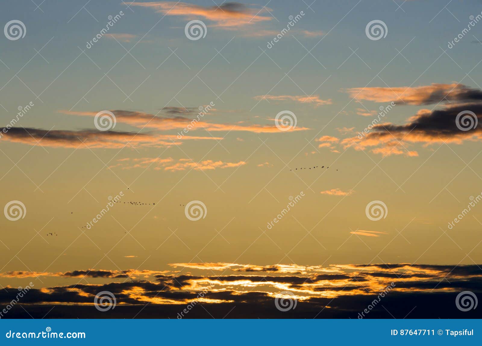 Cloudy evening sky stock image. Image of orange, nature - 87647711