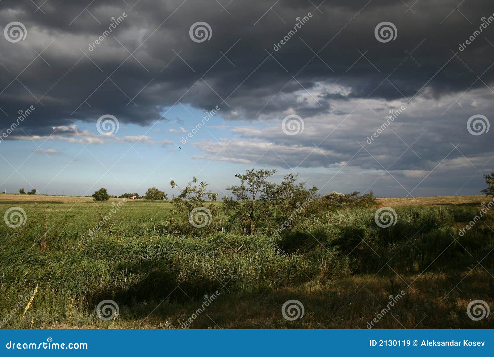 Cloudy field 2 stock image. Image of lonely, nature, idyllic - 2130119