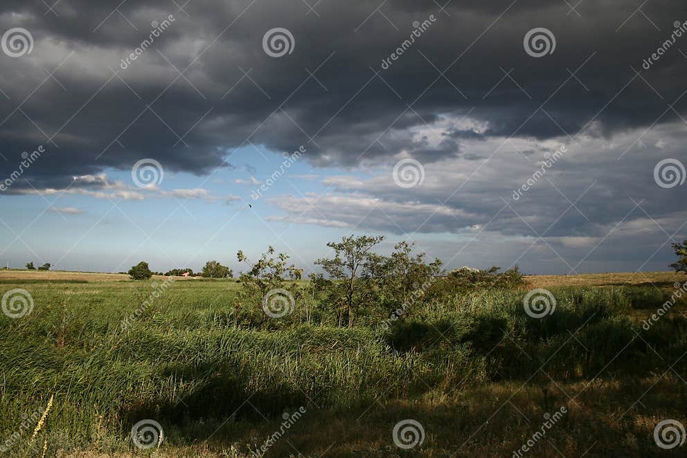 Cloudy field 2 stock image. Image of lonely, nature, idyllic - 2130119