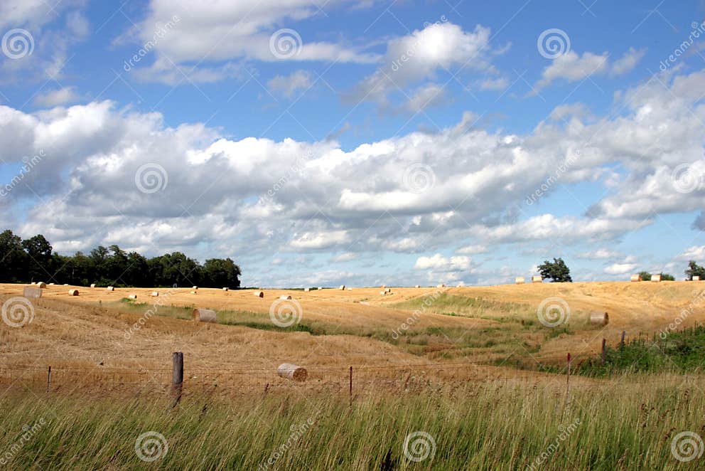 Cloudy Field stock image. Image of sunny, harvest, rural - 295237