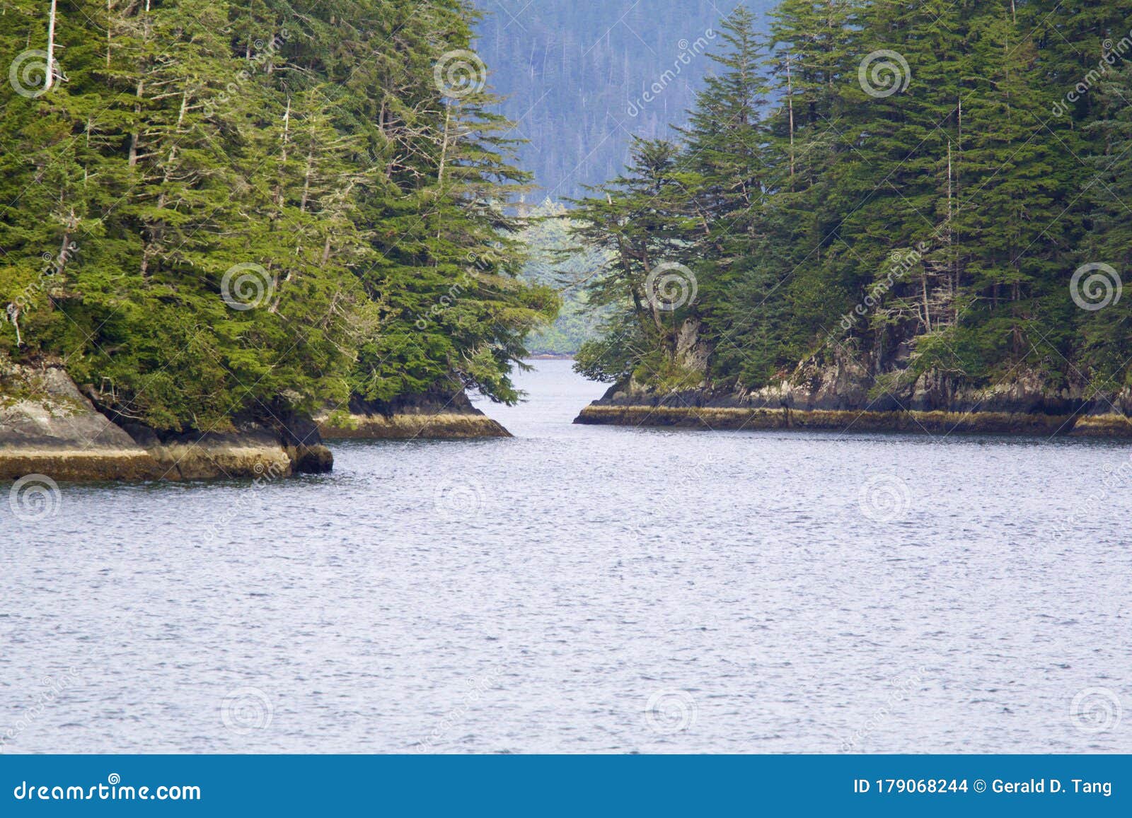 Cloudy Forest Peril Strait 845449 Stock Photo - Image of scenery ...