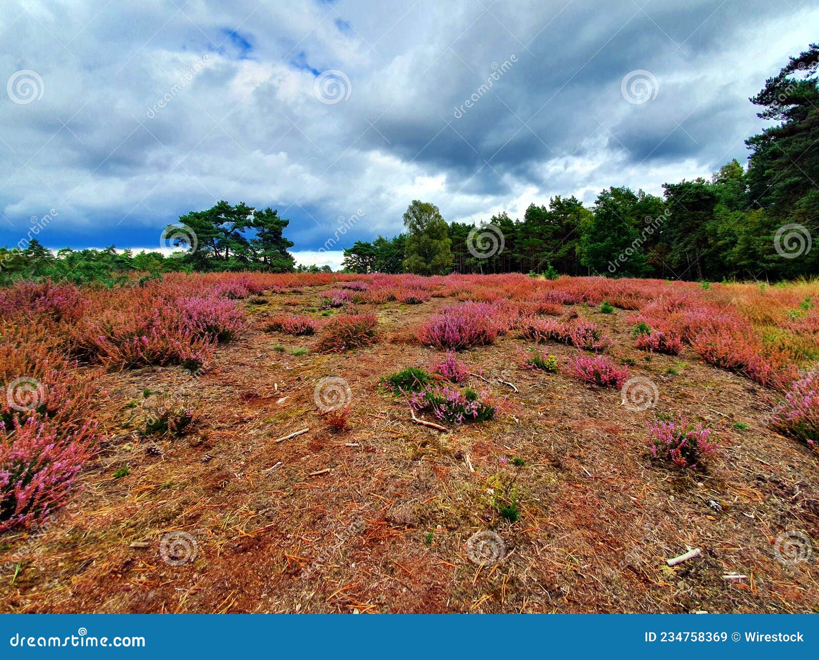 Cloudy Gloomy Sky Over the Eathland Stock Image - Image of gloomy ...