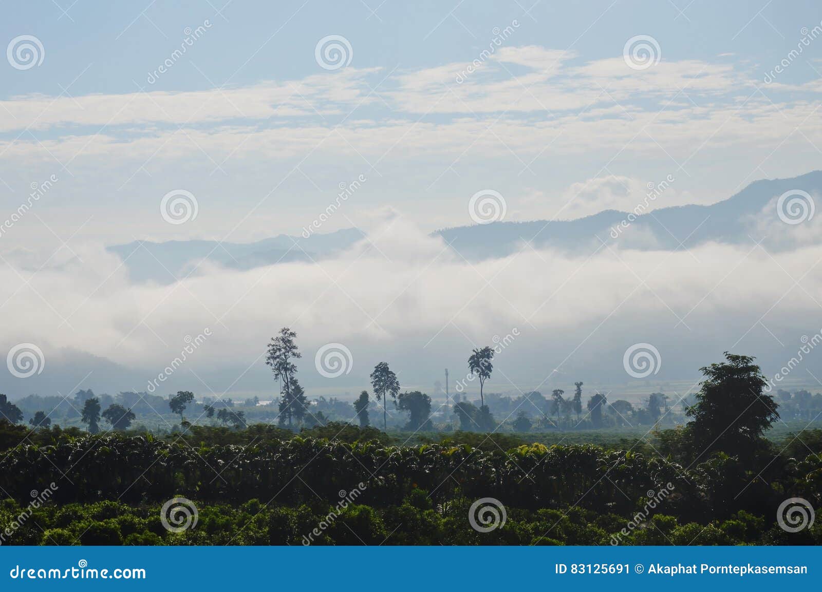 Cloudy and Mist Floating Cover Mountain in Thailand Countryside Stock ...