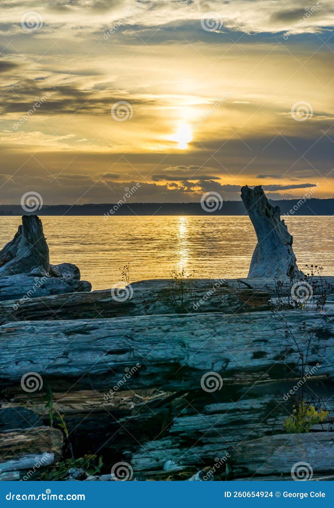 Cloudy Ocean Sunset 2 stock photo. Image of washington - 260654924