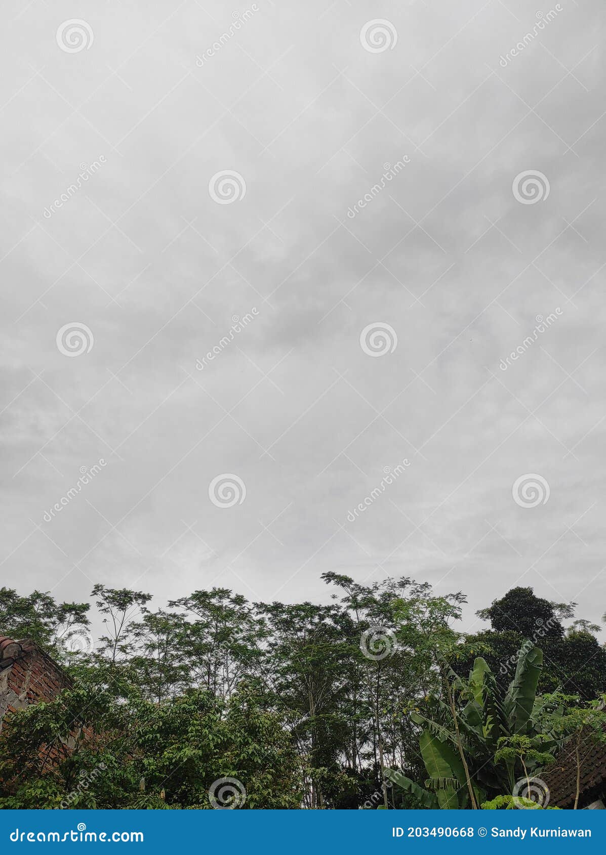 Cloudy in the morning stock photo. Image of sunlight - 203490668