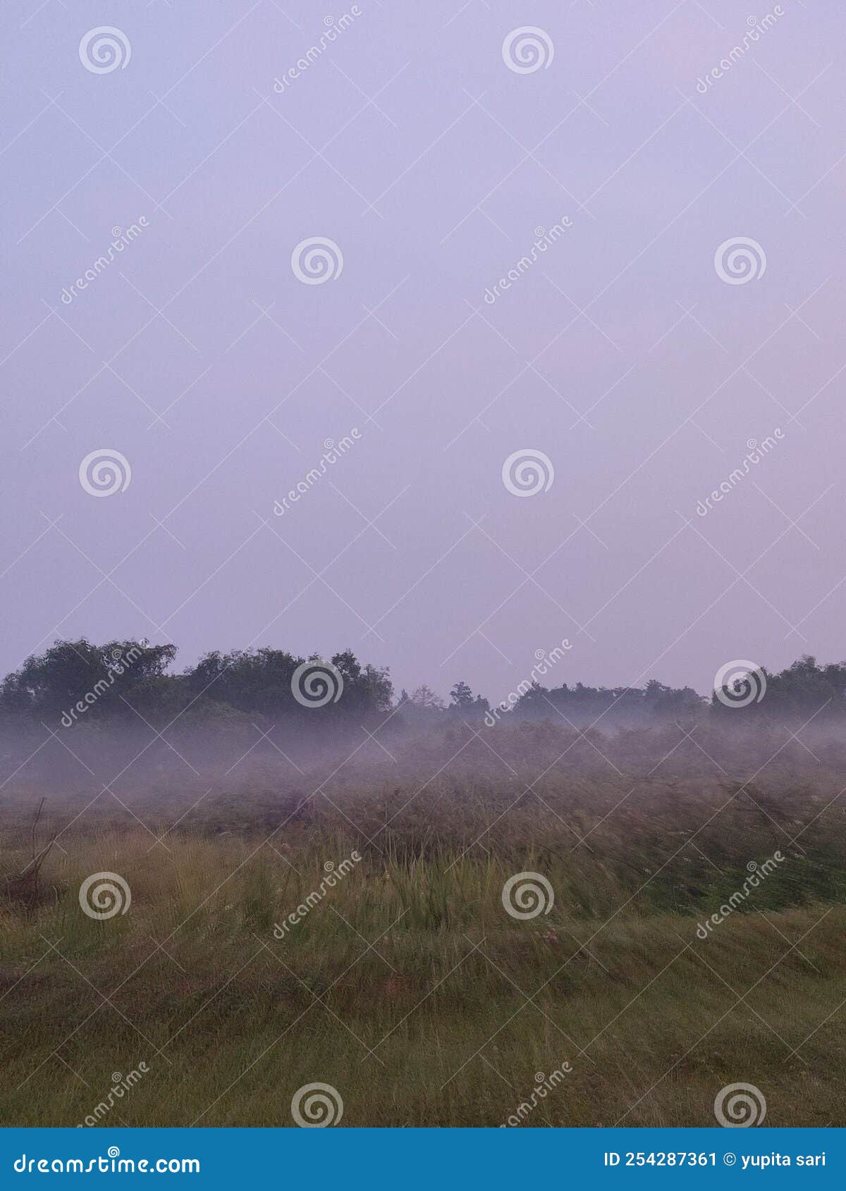 Cloudy morning nice stock image. Image of cloud, horizon - 254287361