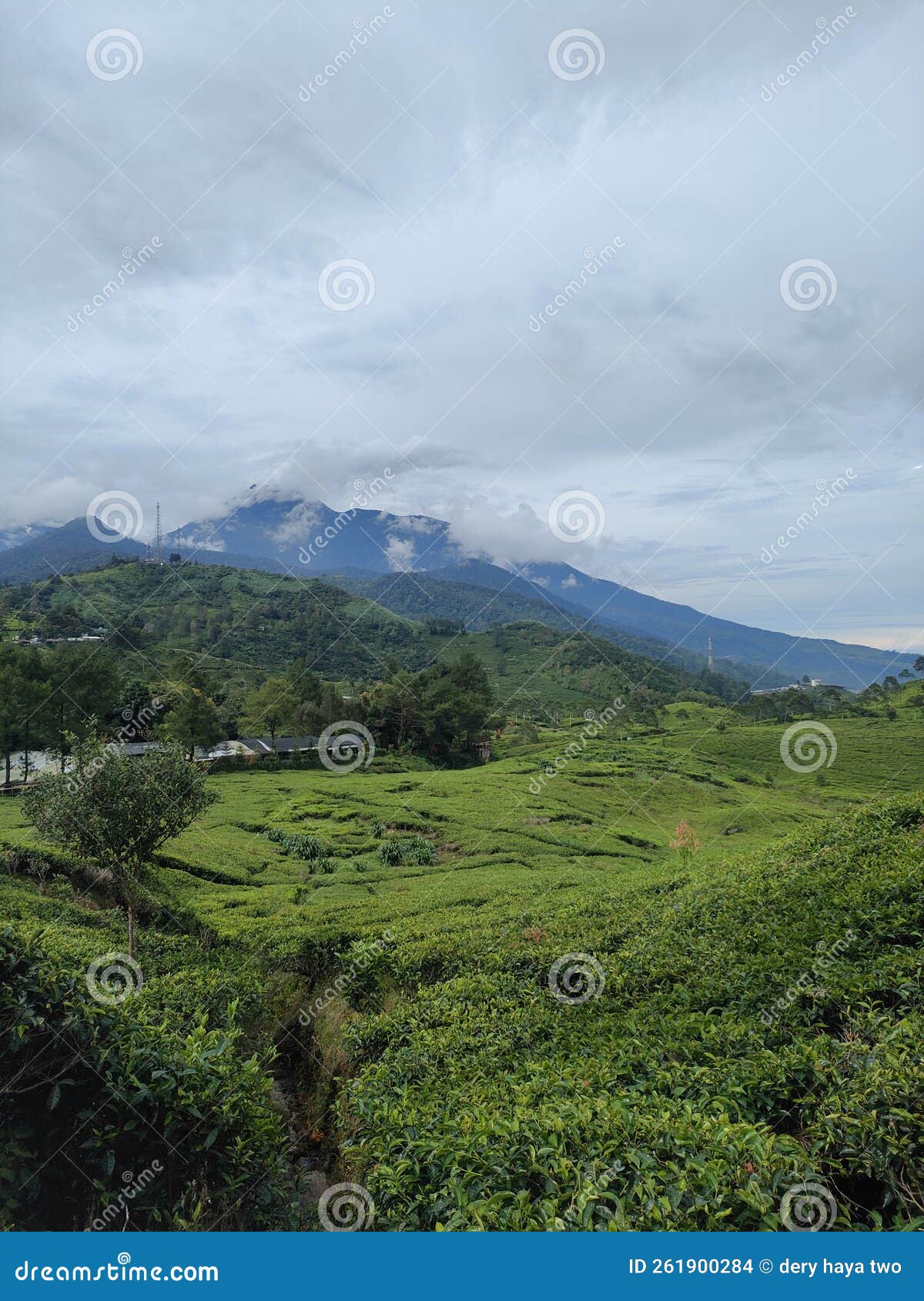 Cloudy mountain bogor view stock photo. Image of morning - 261900284