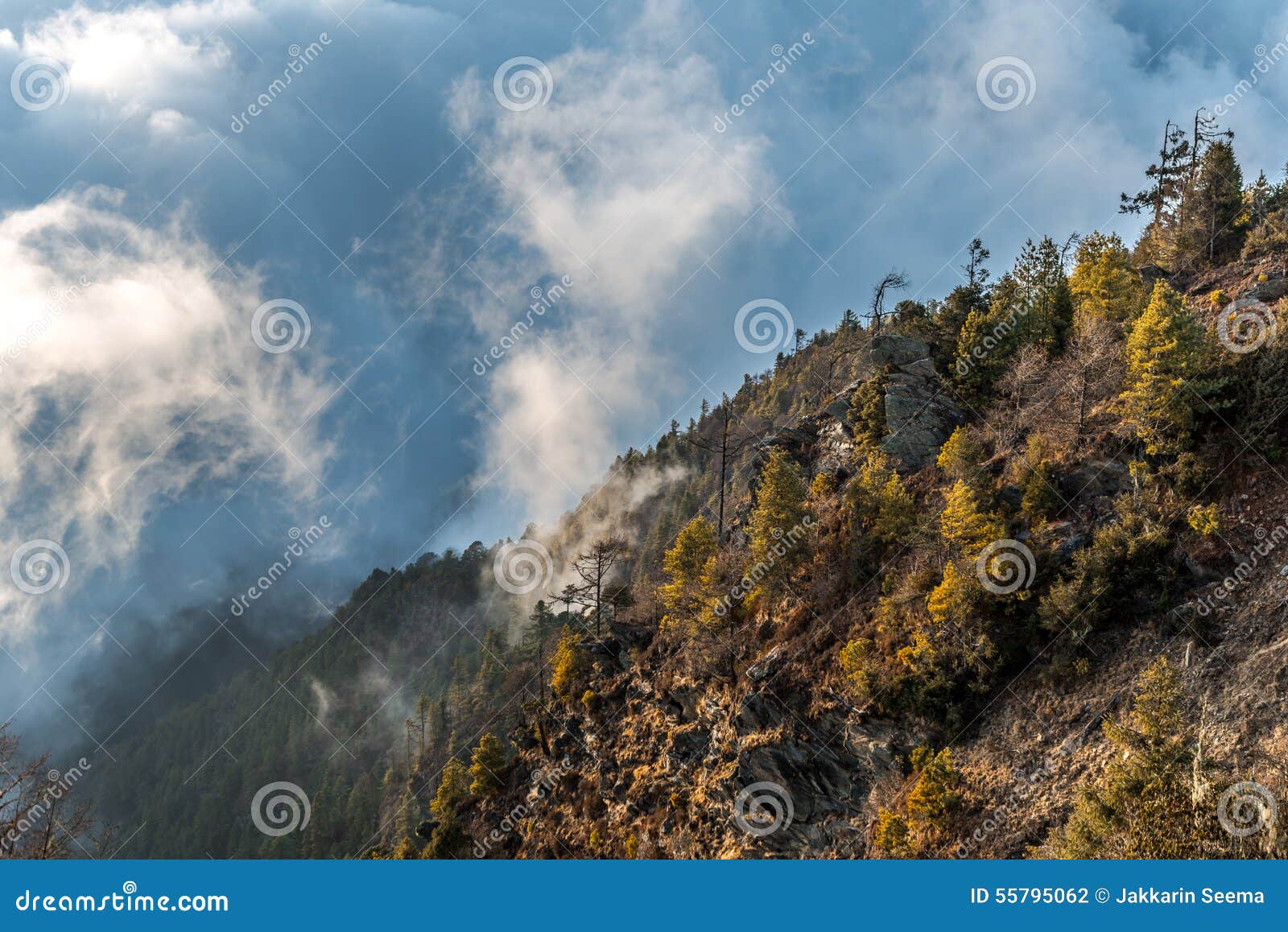 Cloudy mountain stock photo. Image of misty, cloud, winter - 55795062
