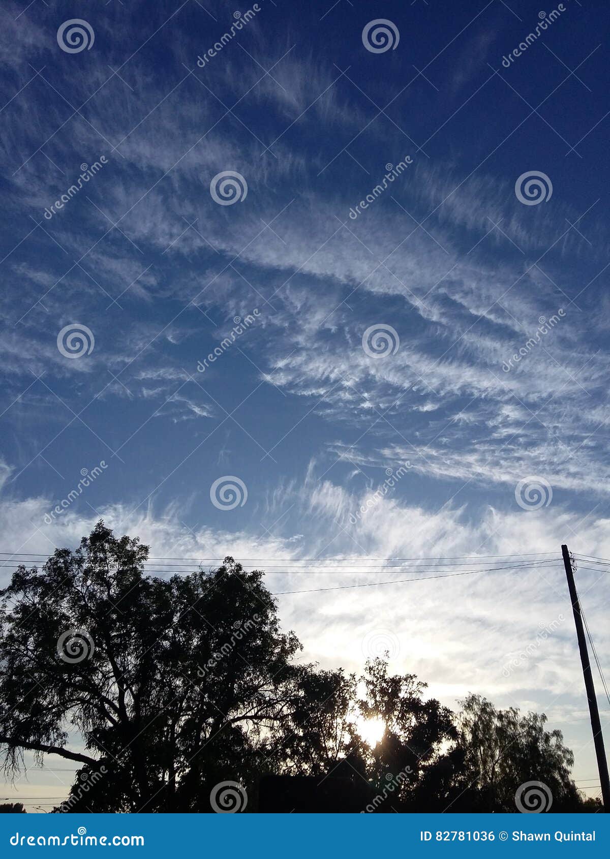 Cloudy Overcast Blue Sky`s Trees Stock Photo - Image of abstract ...