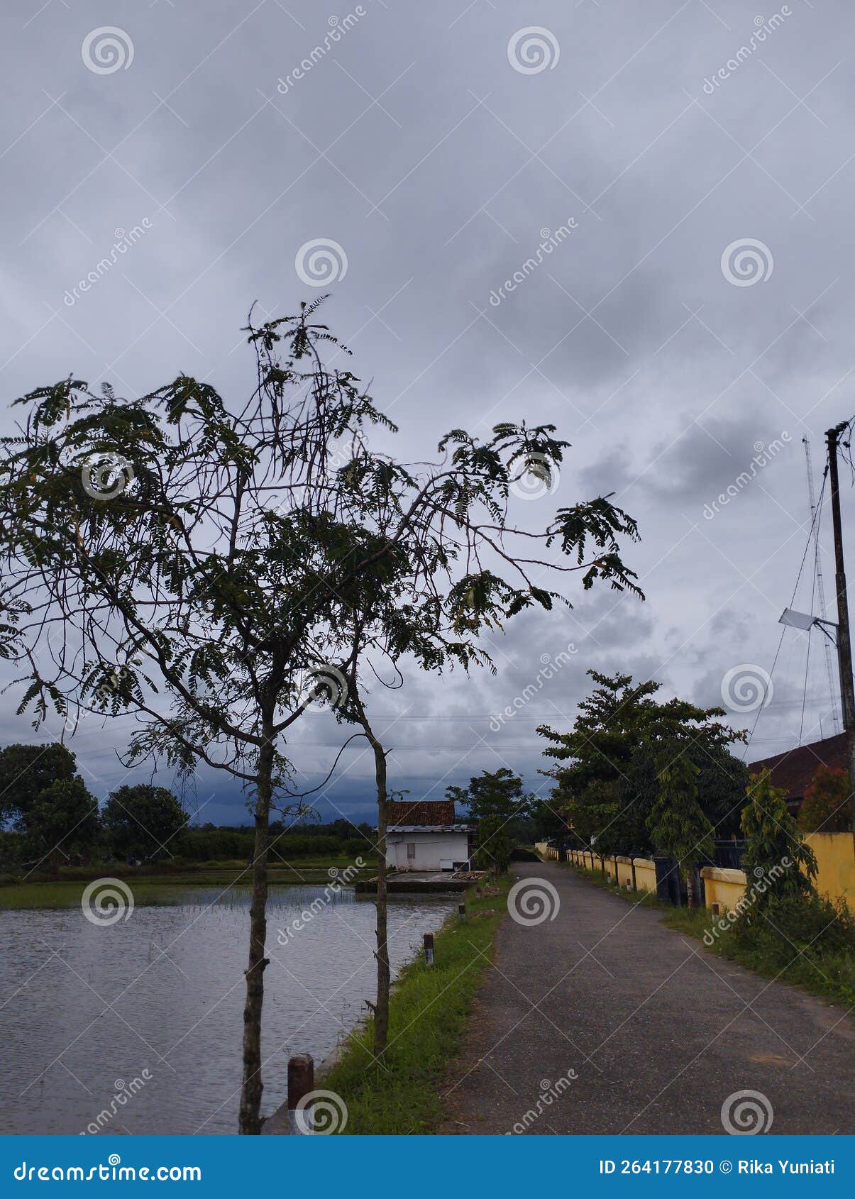Cloudy without Rain on the Road by the Rice Fields Stock Photo - Image ...