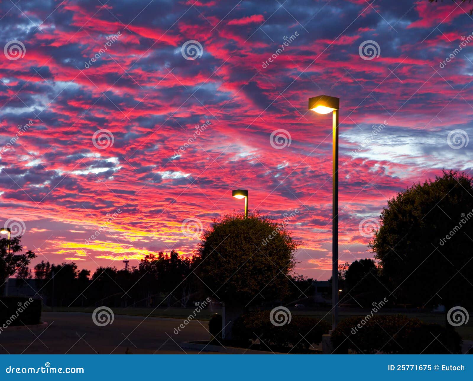 Bold Scarlet Night stock image. Image of blue, nighttime - 25771675