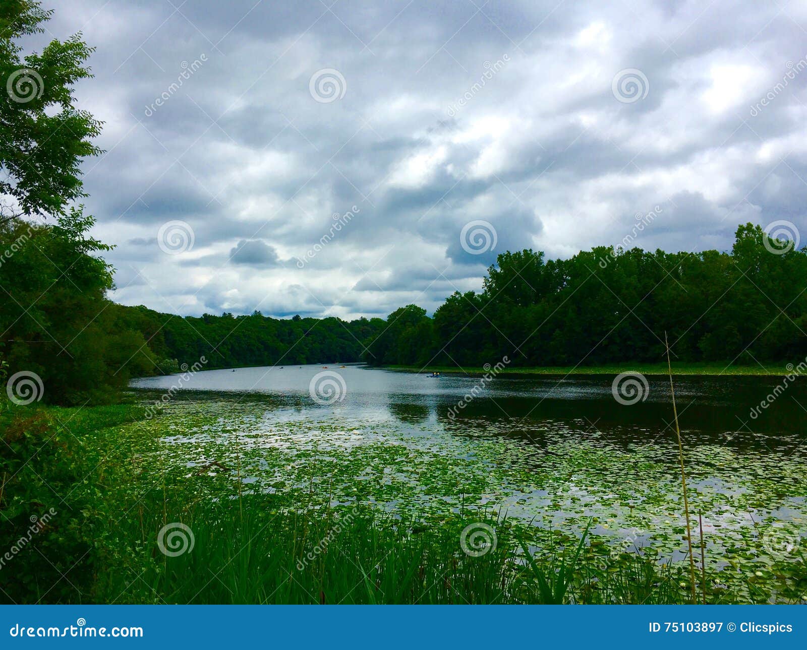 Cloudy River stock image. Image of clouds, wild, plants - 75103897