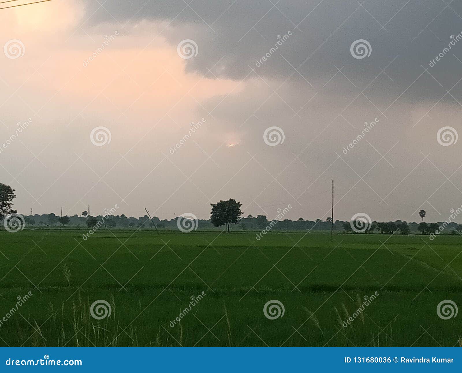 Cloudy Sky with Evening Sunlight and Greenfield Stock Photo - Image of ...