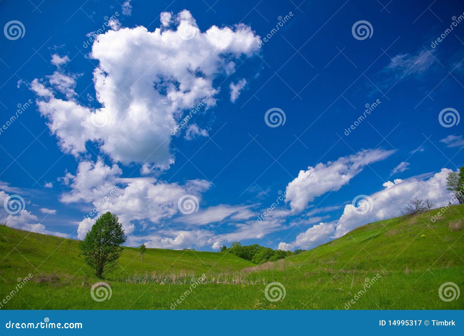 Cloudy sky and field stock image. Image of outdoors, scene - 14995317