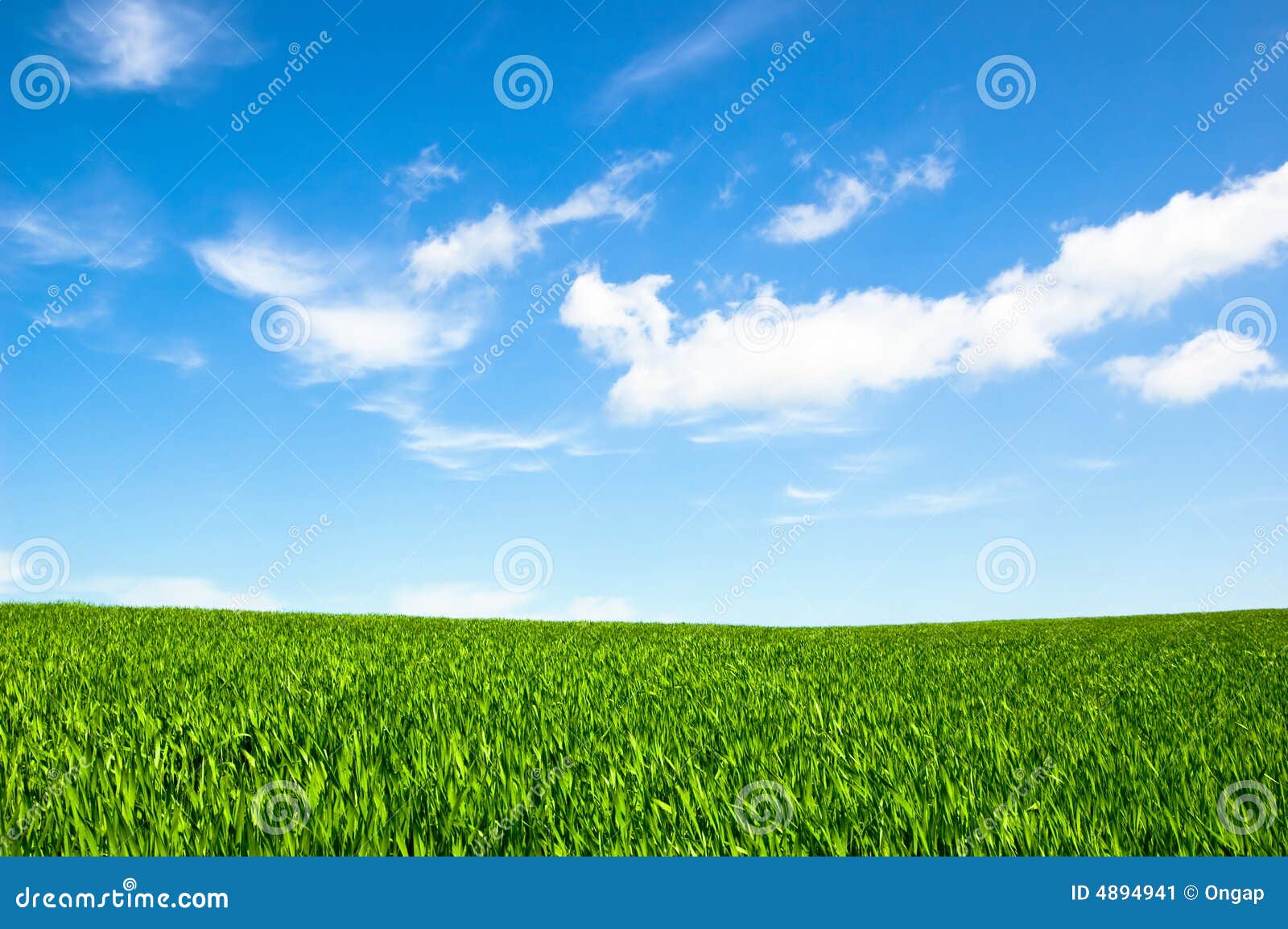 Cloudy sky and grass stock image. Image of horizon, summer - 4894941