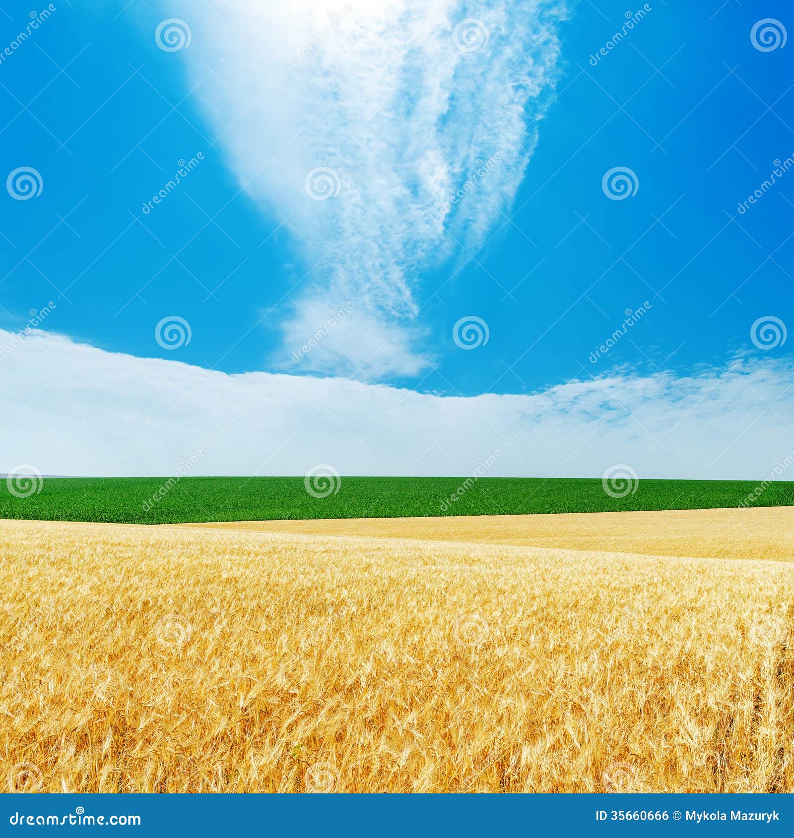 Cloudy sky over fields stock photo. Image of golden, horizon - 35660666