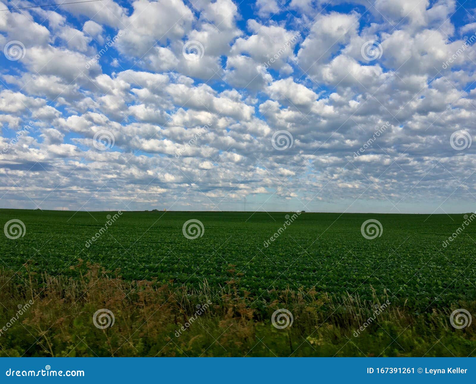 Cloudy Fields stock image. Image of iowa, bean, fields - 167391261