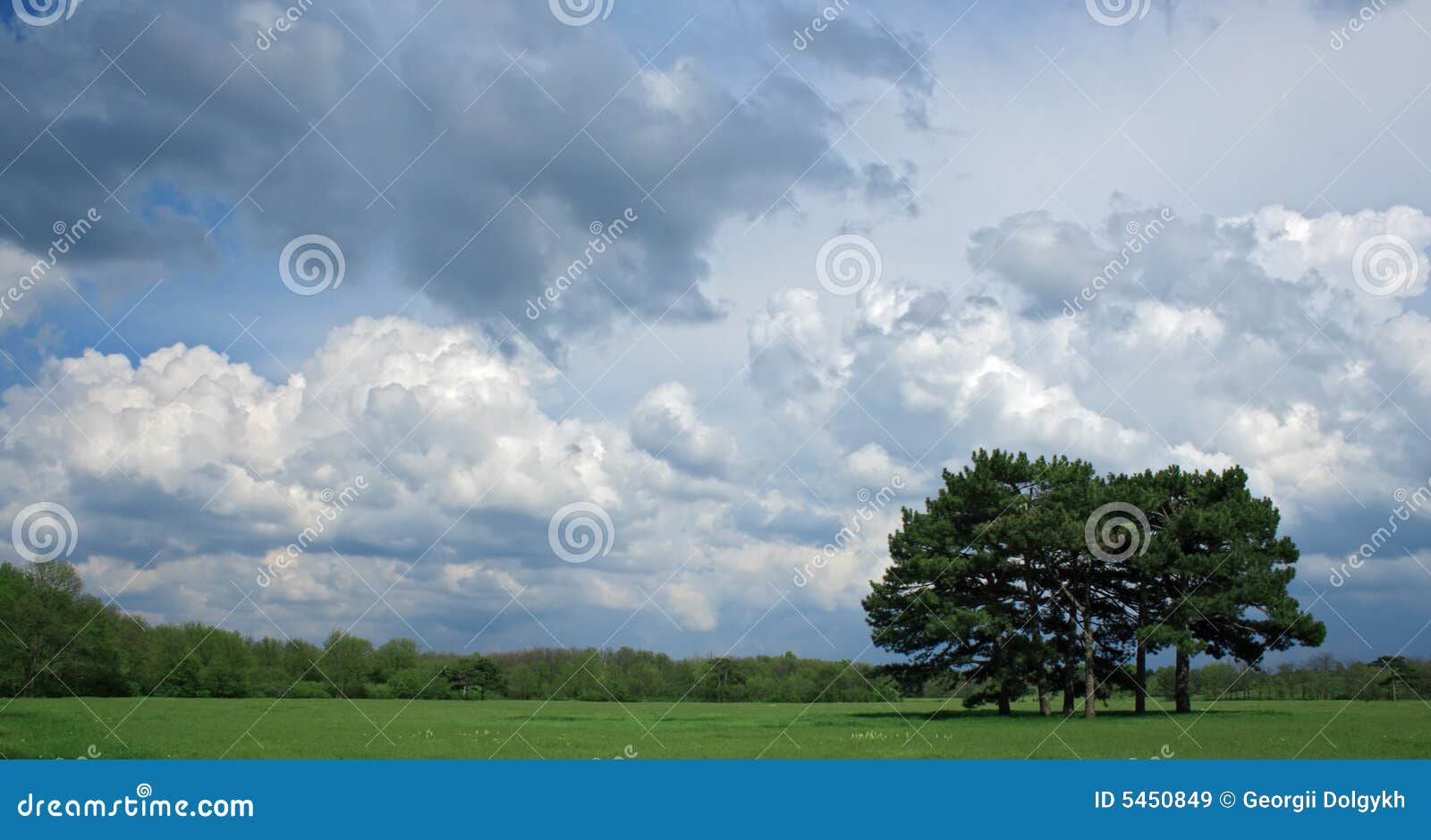 Cloudy sky over a tree stock image. Image of green, rural - 5450849