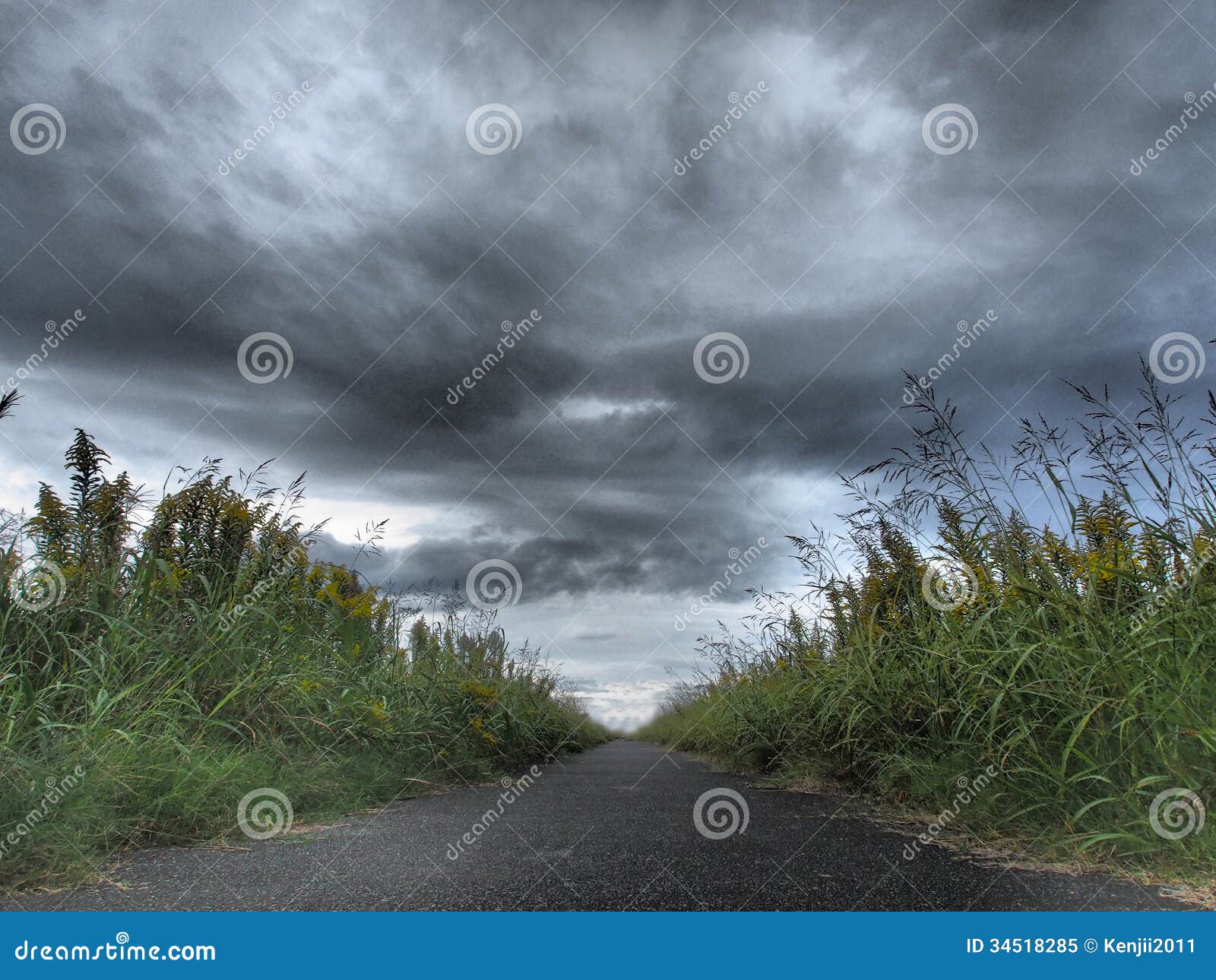 Cloudy sky and path stock image. Image of grassland, meadow - 34518285
