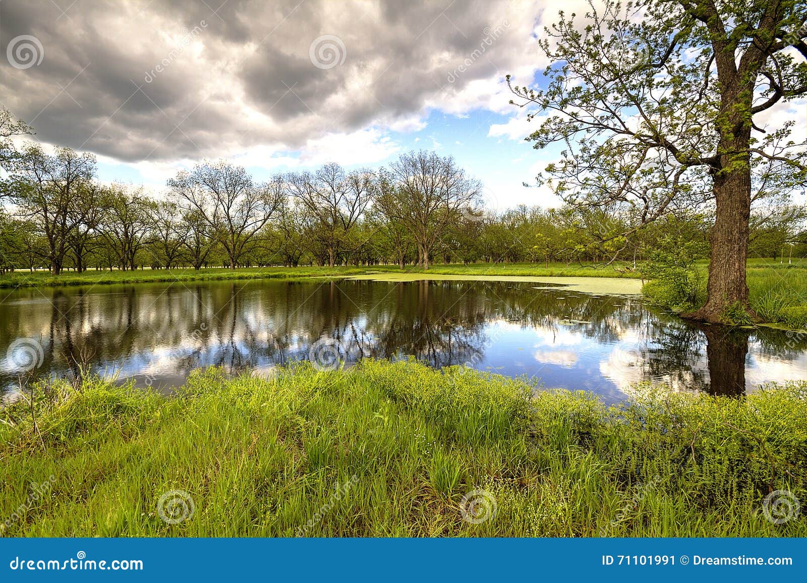 Cloudy Sky Pond stock image. Image of cloud, pond, country - 71101991