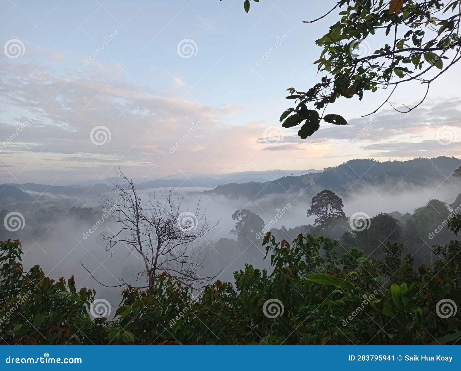 Cloudy Sky before Sunrise Bukit Sungai Long Stock Image - Image of ...