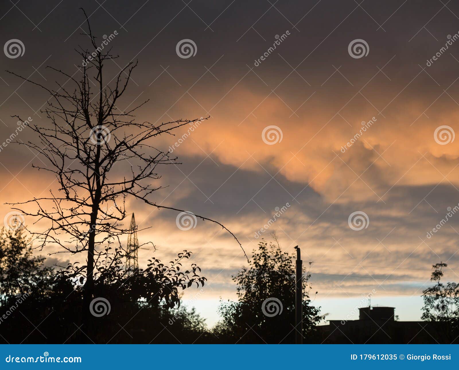 Cloudy Sky at Sunset and Dry Tree Stock Image - Image of forest ...