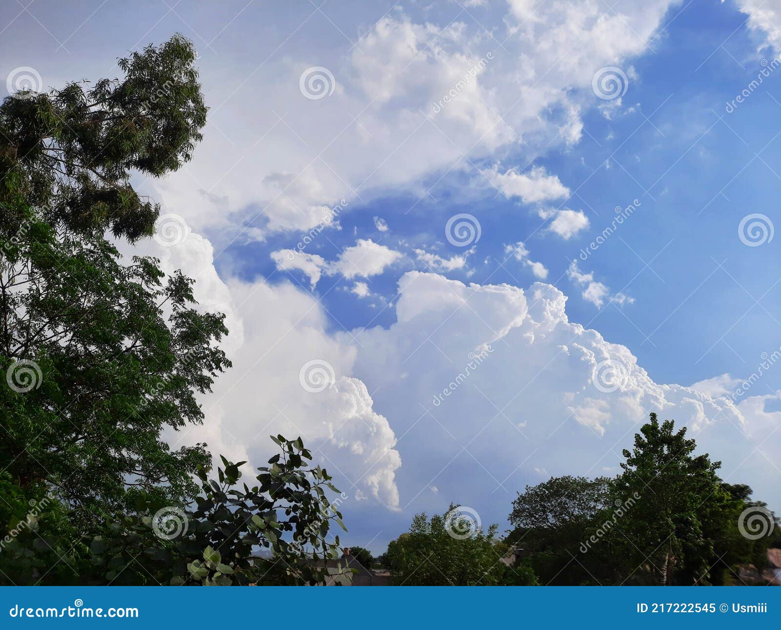 Cloudy Sky and Tree View after Rain Stock Image - Image of cloudy ...