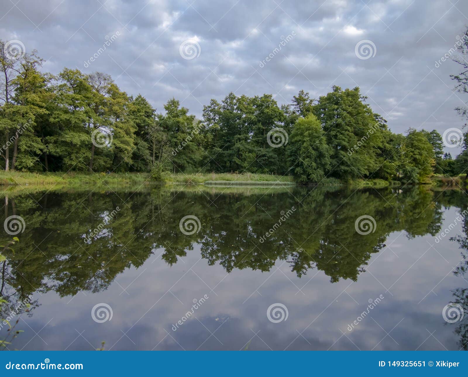 Cloudy Spring Day Beautiful Nature Reflection on the Lake Surface Stock ...