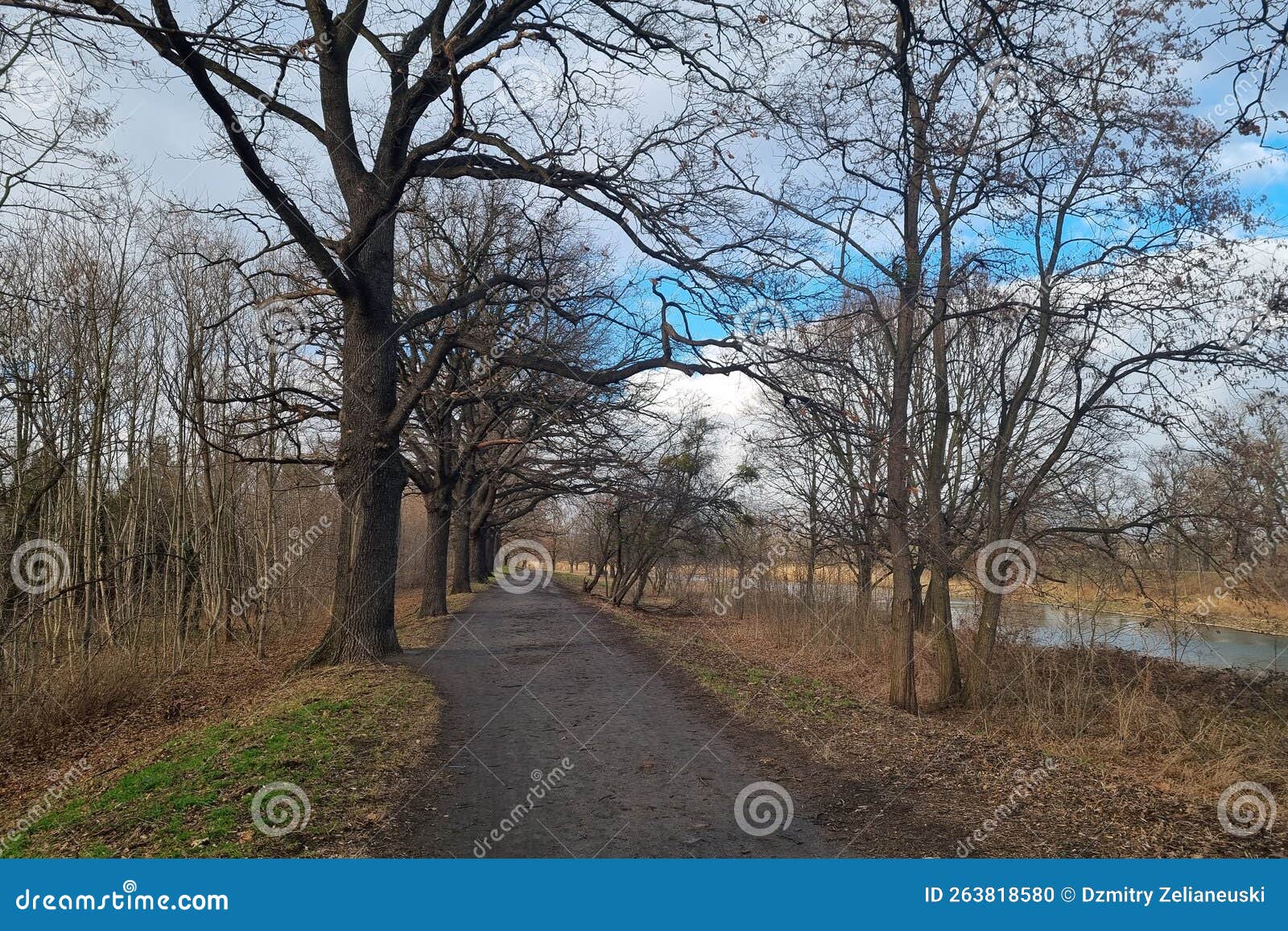 A Cloudy Spring Day in the Park. Hiking Trail. Stock Photo - Image of ...