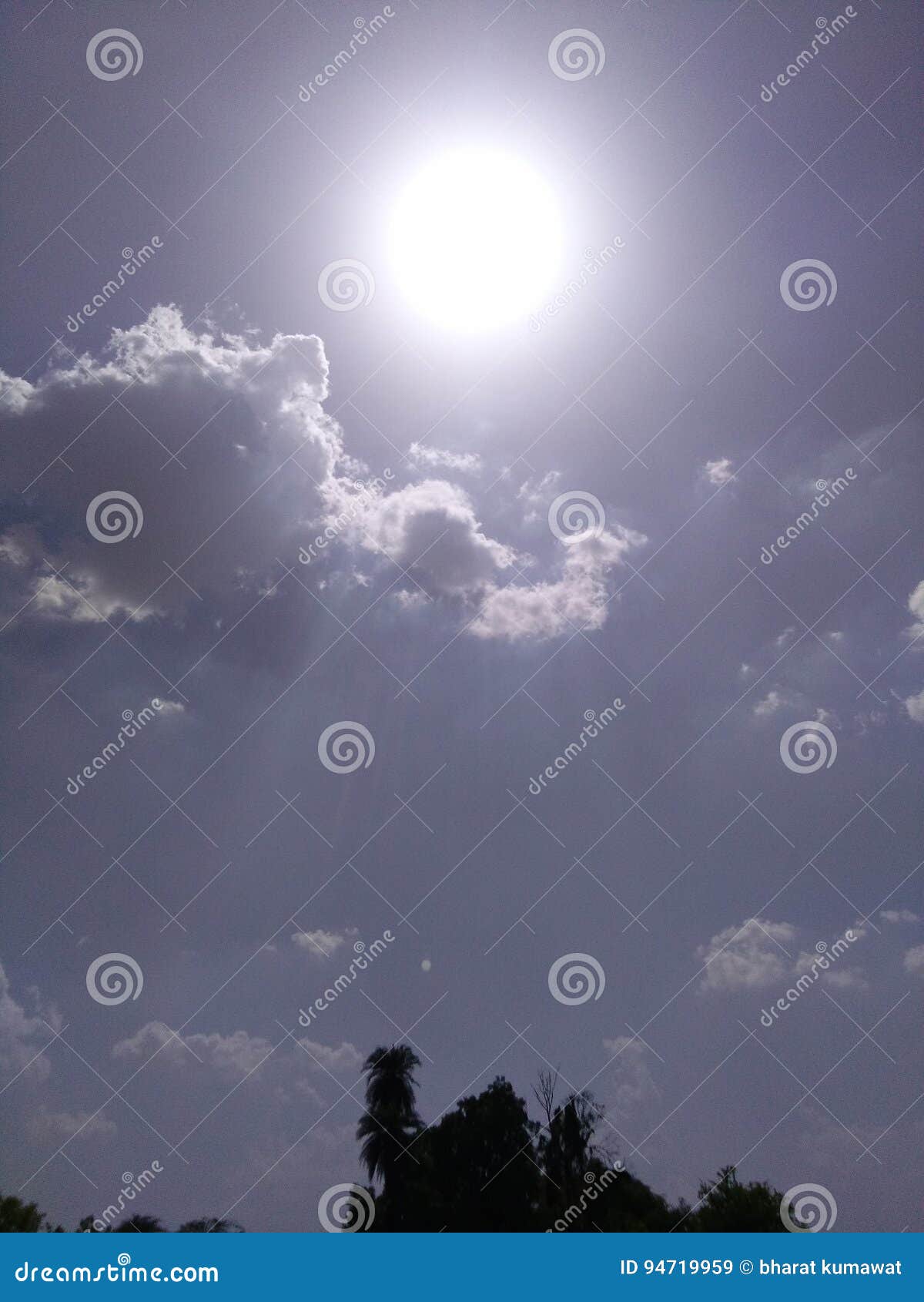 Cloudy sun stock image. Image of tree, clouds, sunbeam - 94719959