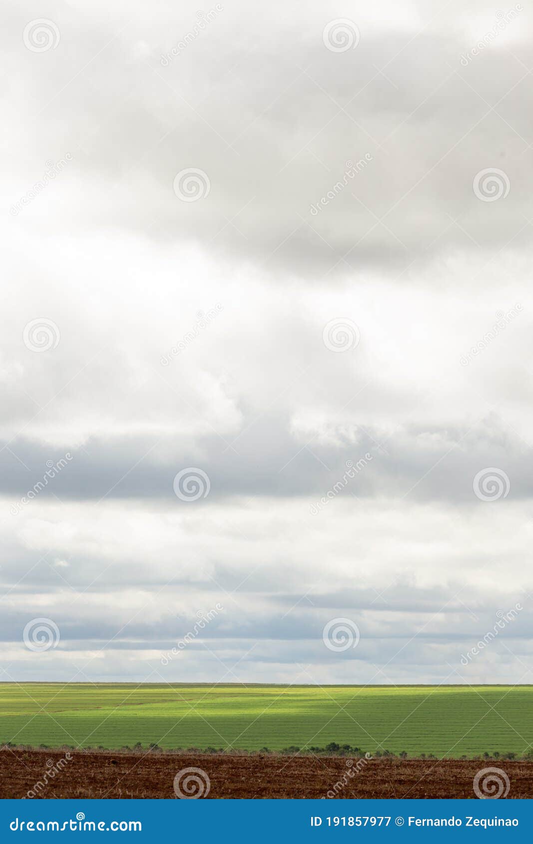 Cloudy and Sunny Field Crop Landscape with Beautiful Sun Rays Stock ...