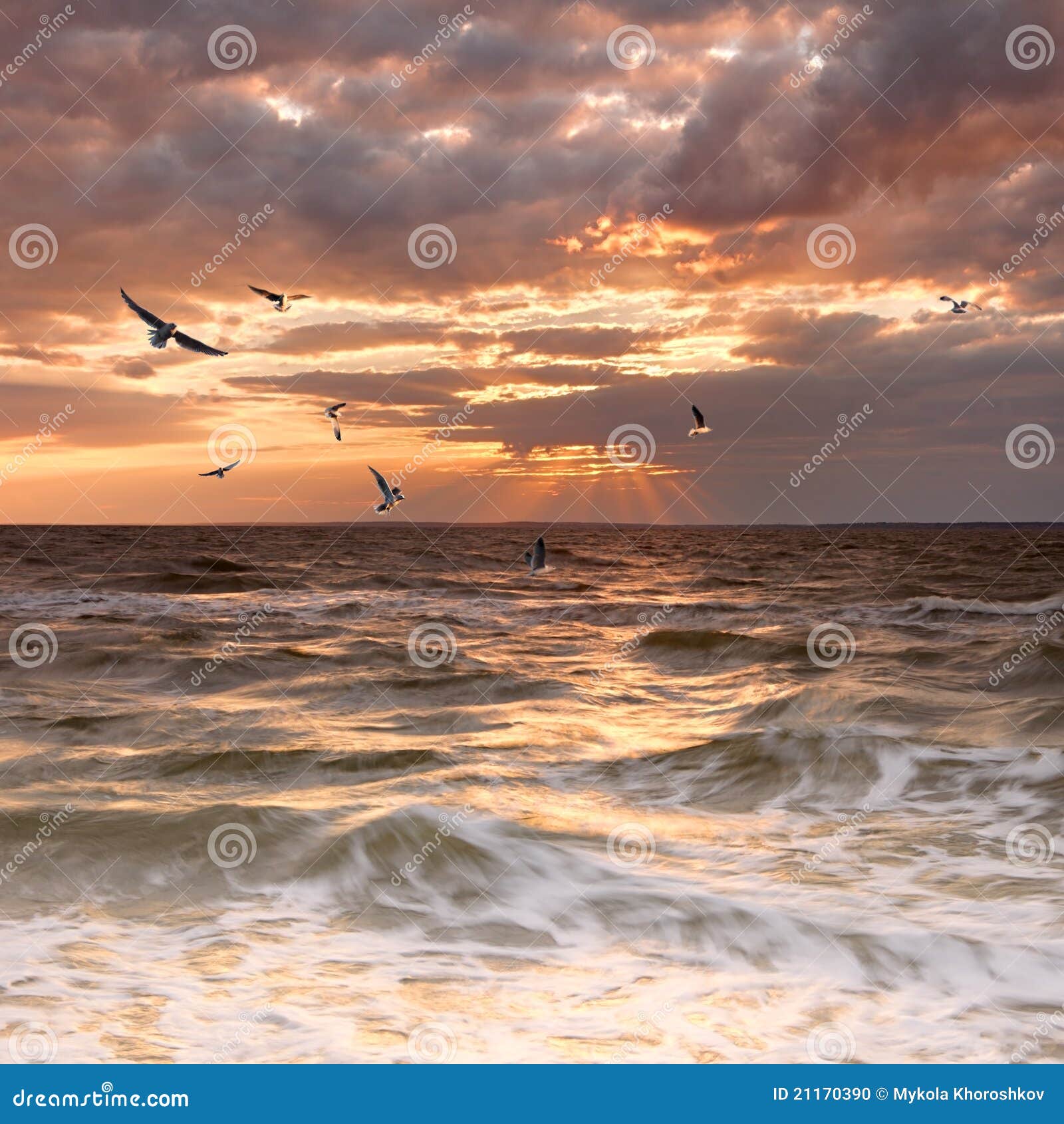 Cloudy sunset stock photo. Image of gull, sunlight, landscape - 21170390