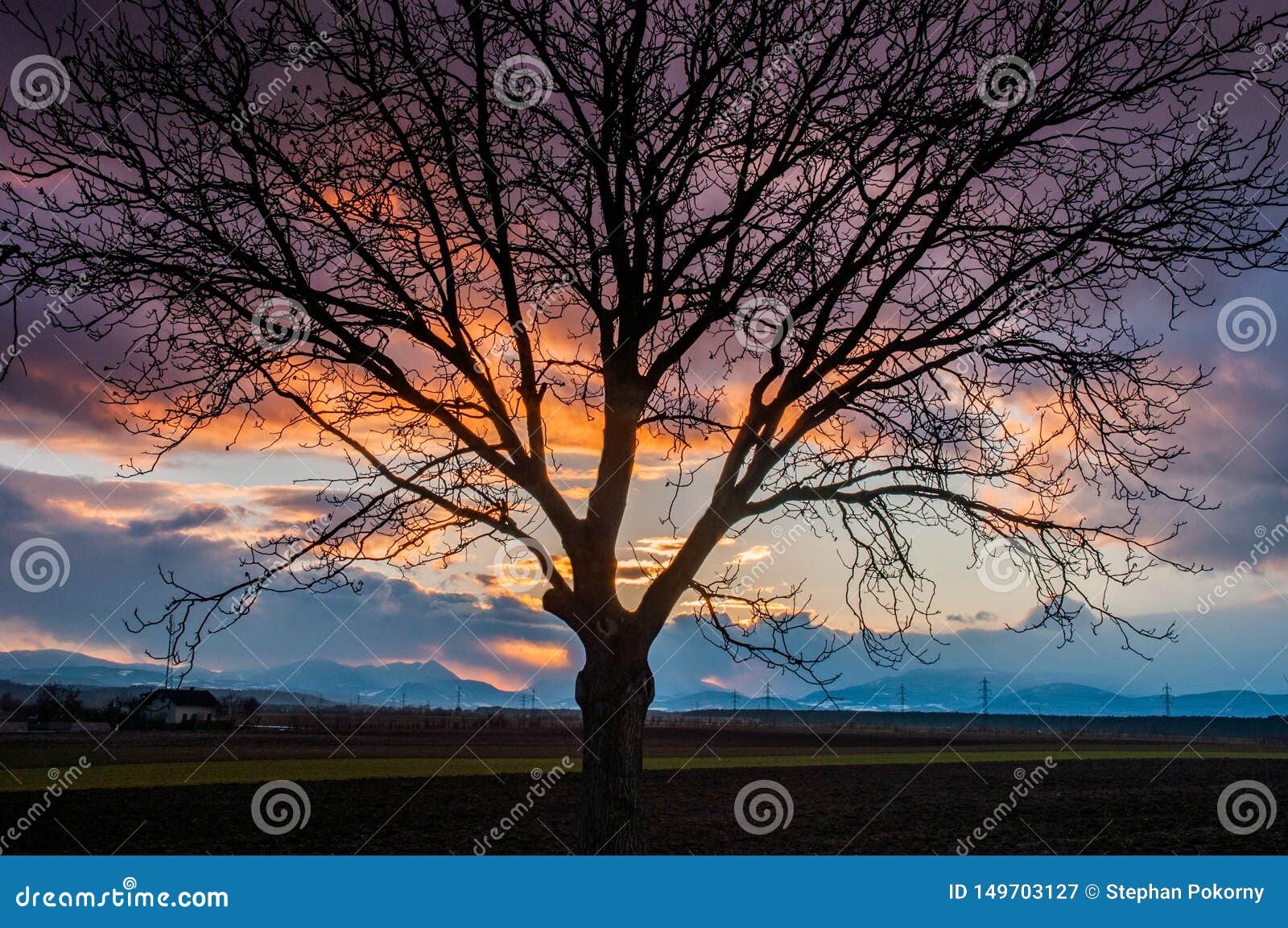 Cloudy Sunset with Silhouette from a Tree Stock Image - Image of forest ...