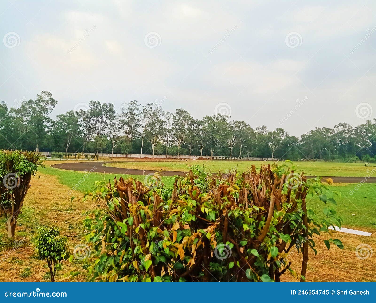 Top View Of Ground Sandy Background Royalty-Free Stock Photography ...