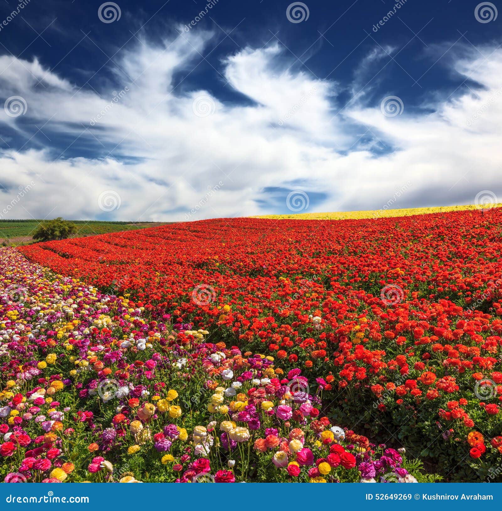 Cloudy and Windy Spring Day Stock Image - Image of horizon, clouds ...