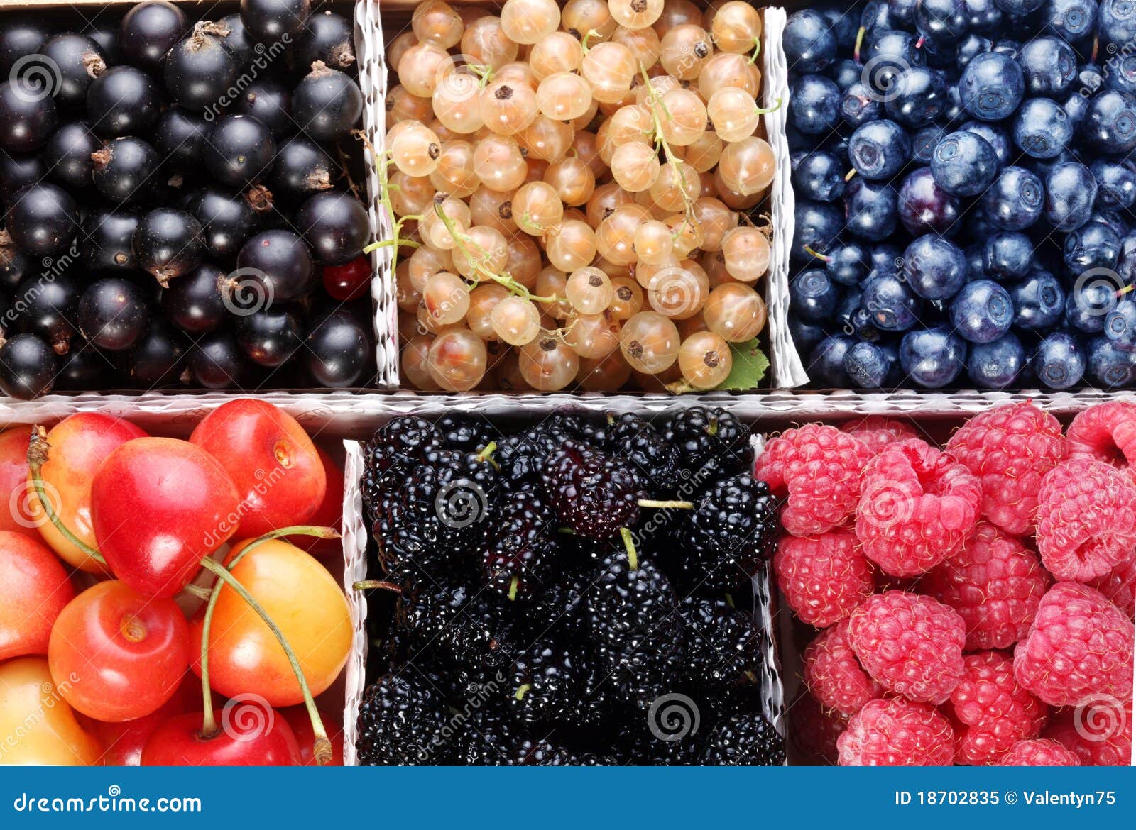 Clourful berries stock image. Image of black, purple - 18702835