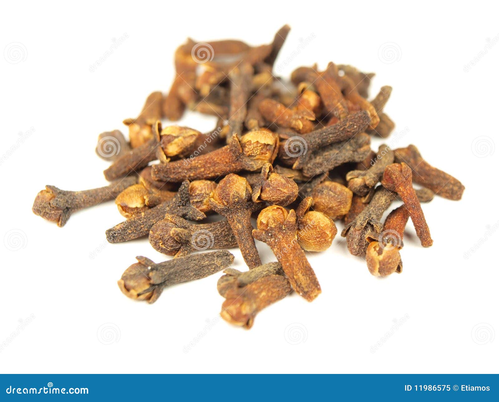 Clove stock image. Image of organic, gourmet, brown, cooking - 11986575